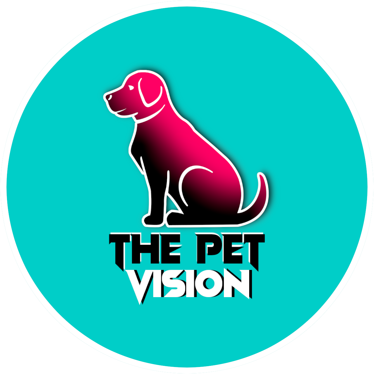 The Pet Vision